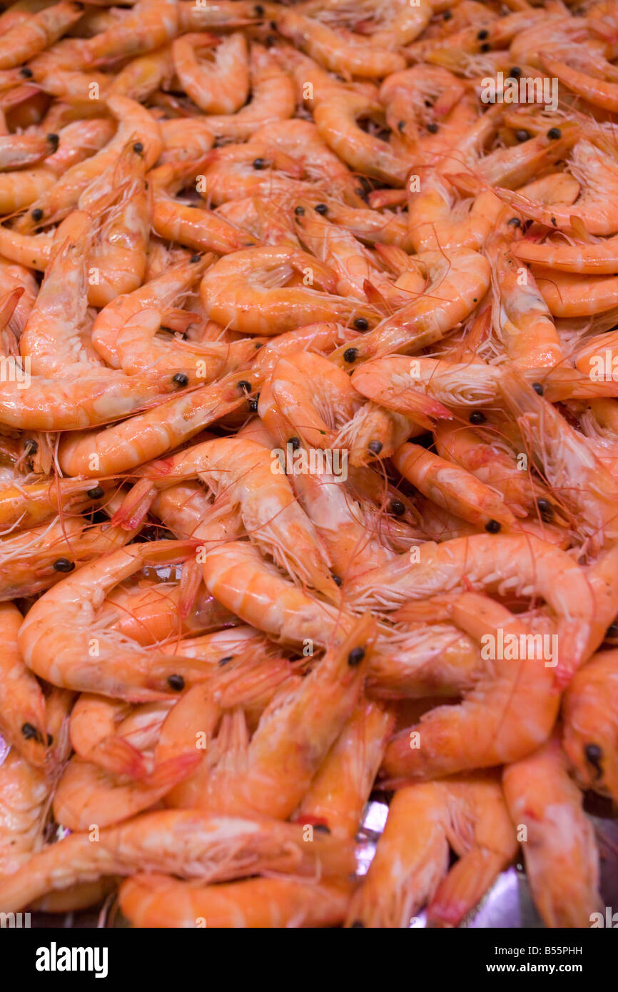 clams crab lobster mussels oysters prawns scampi shell fish shrimp ...