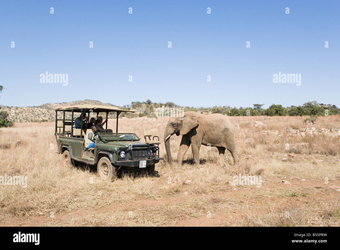 Fascinatedfemale hi-res stock photography and images - Alamy