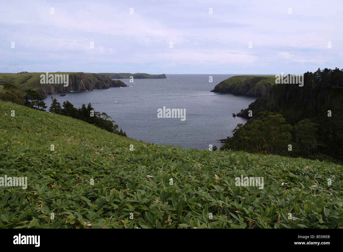 Shikotan island landscape Stock Photo - Alamy