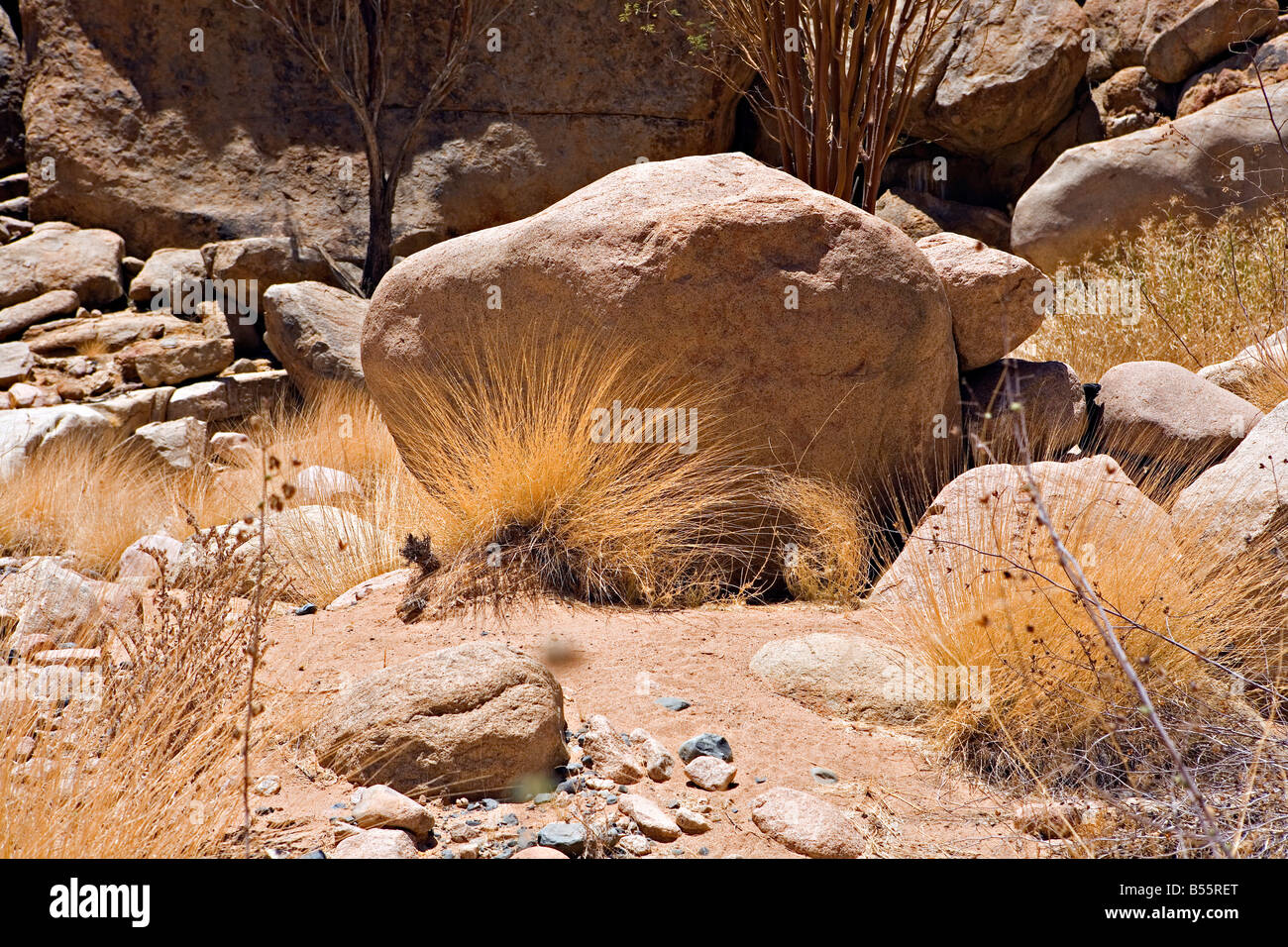 Africa scrubland rocky hi-res stock photography and images - Alamy