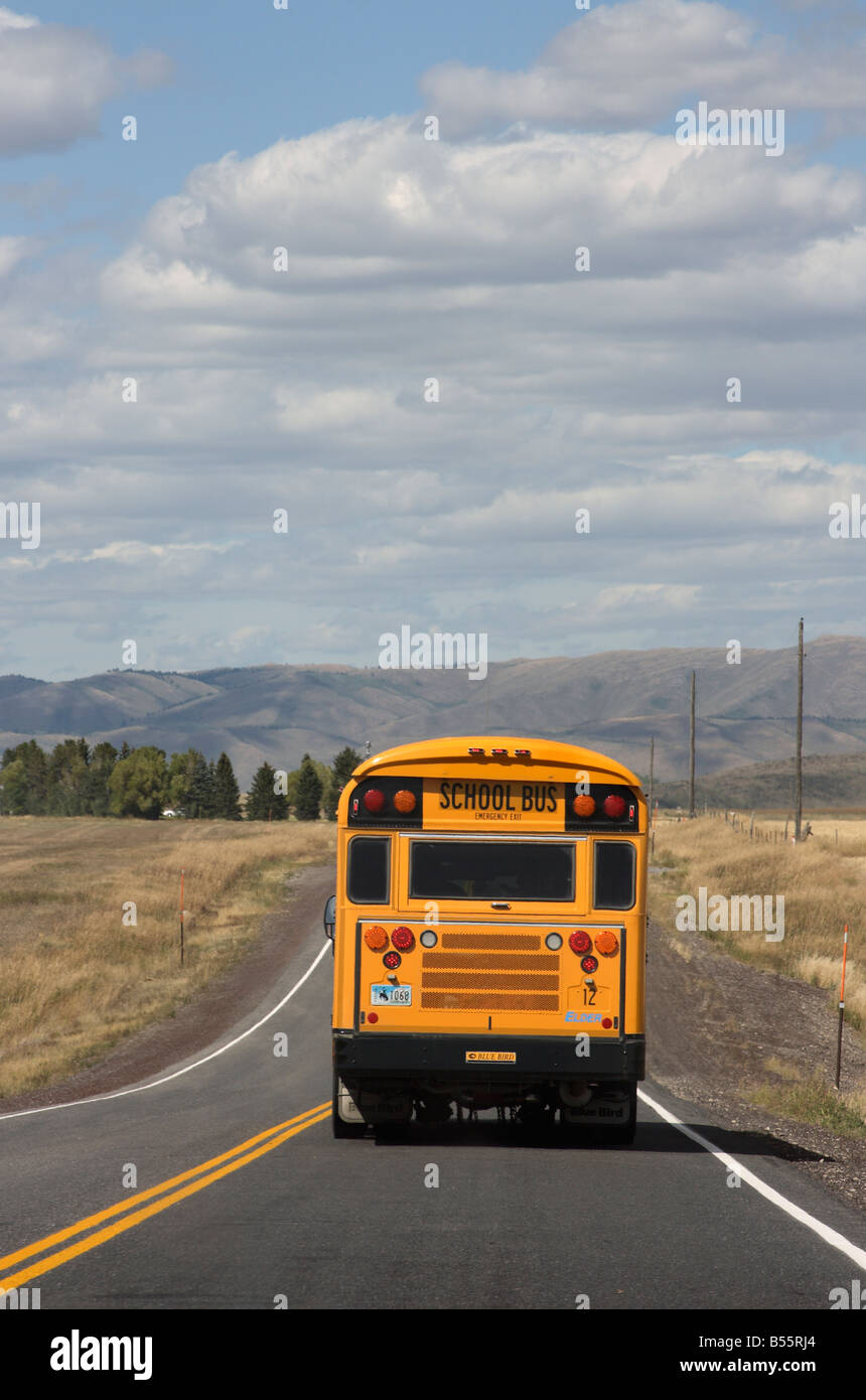 Yellow school bus on the road,America Stock Photo - Alamy
