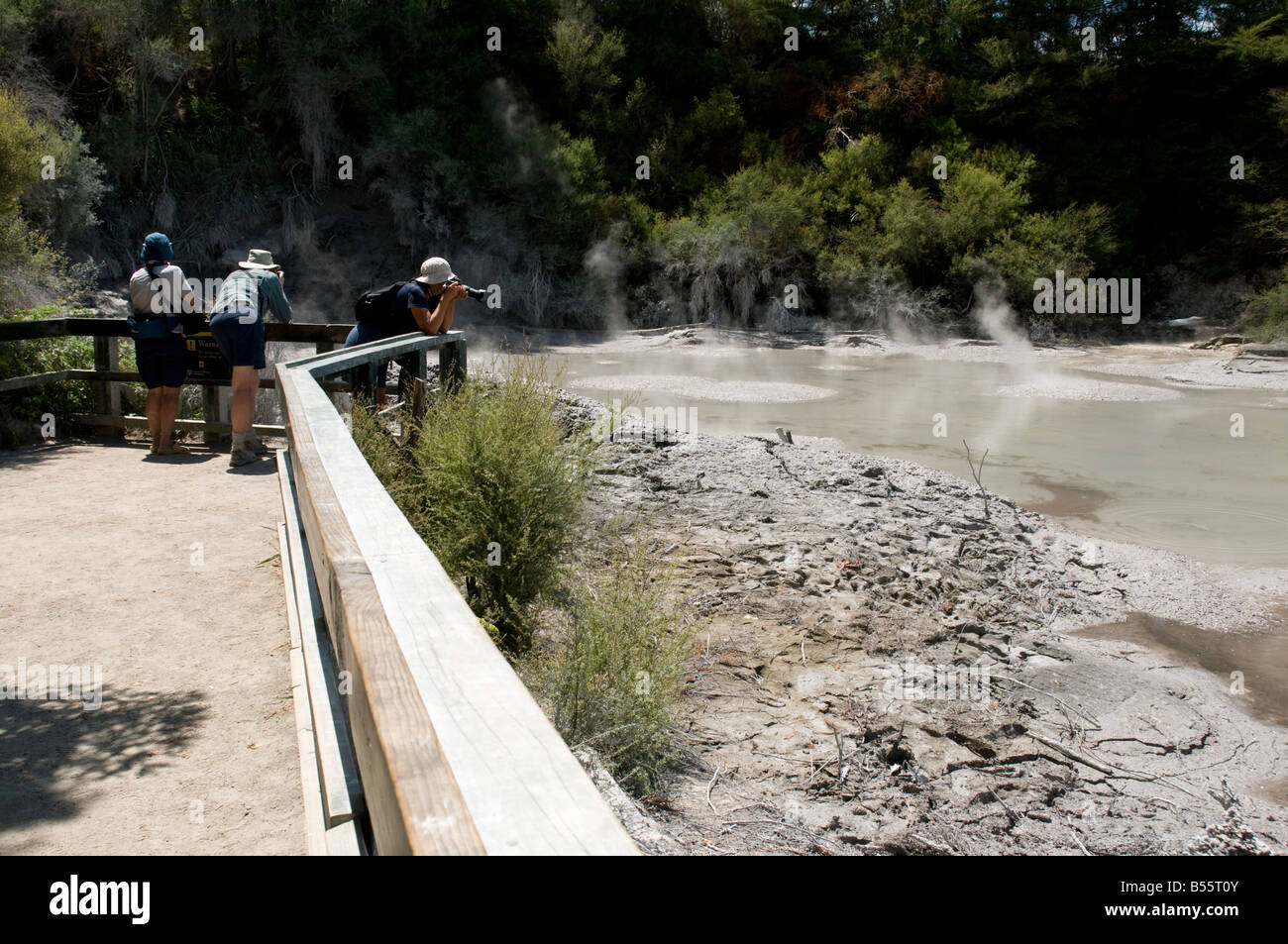 The Mud Pool at the Wai-O-Tapu thermal area, near Rotorua, North Island ...