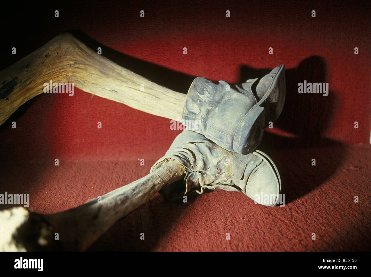 Mexico city mexico mummified in hi-res stock photography and images - Alamy