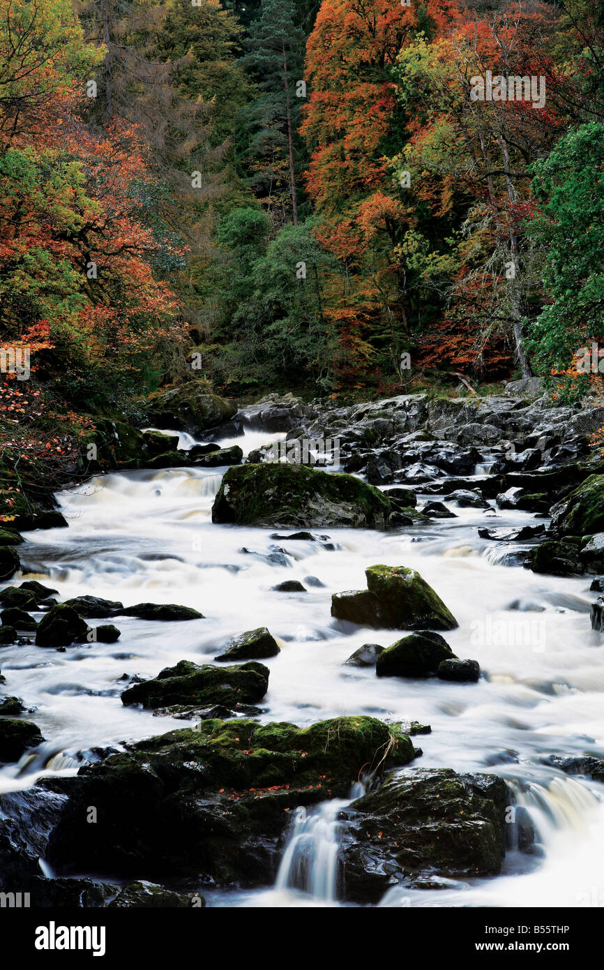 The Hermitage in autumn, Dunkeld, Perthshire, Scotland Stock Photo - Alamy