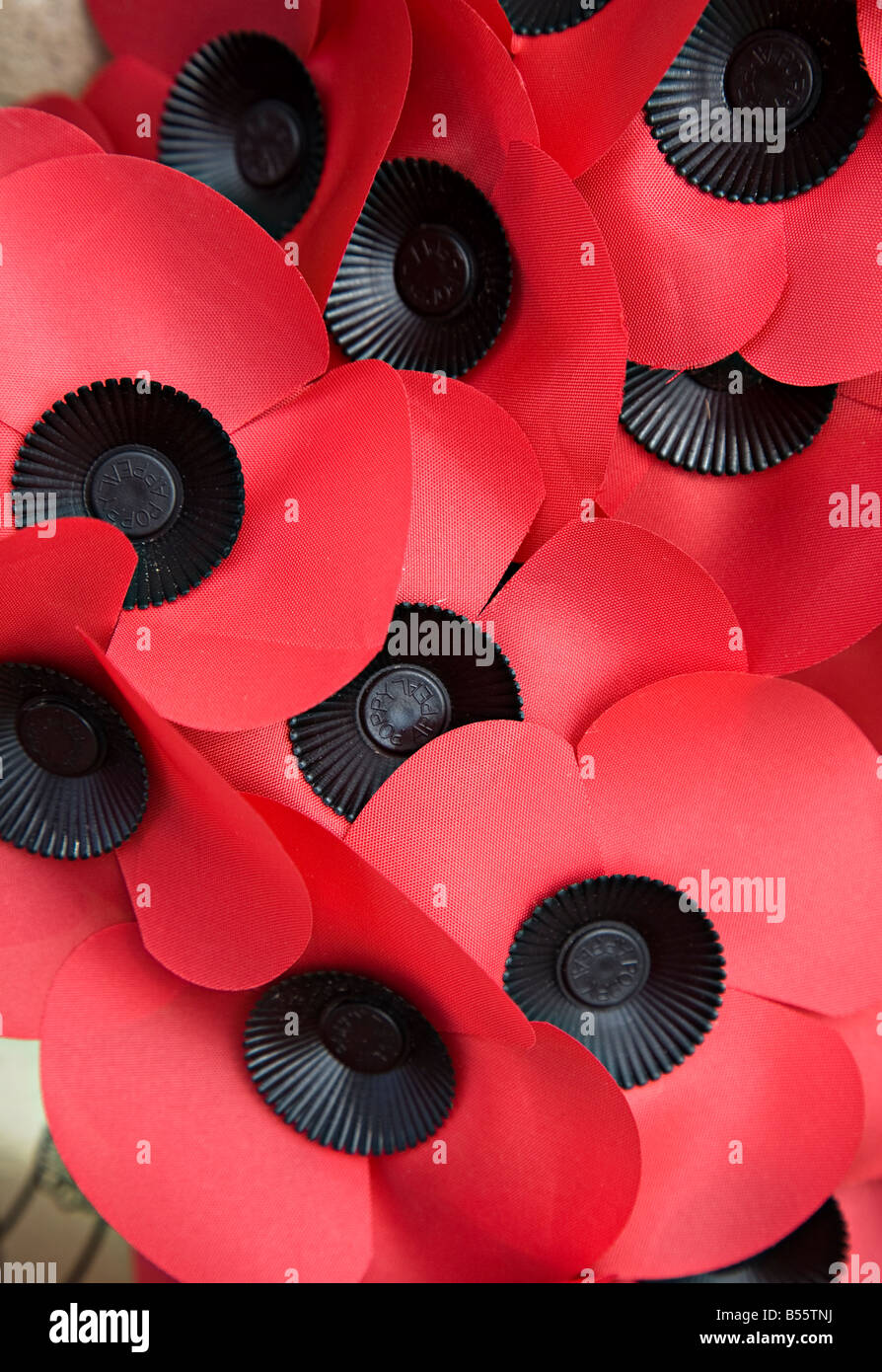 Poppy appeal poppies UK Stock Photo - Alamy