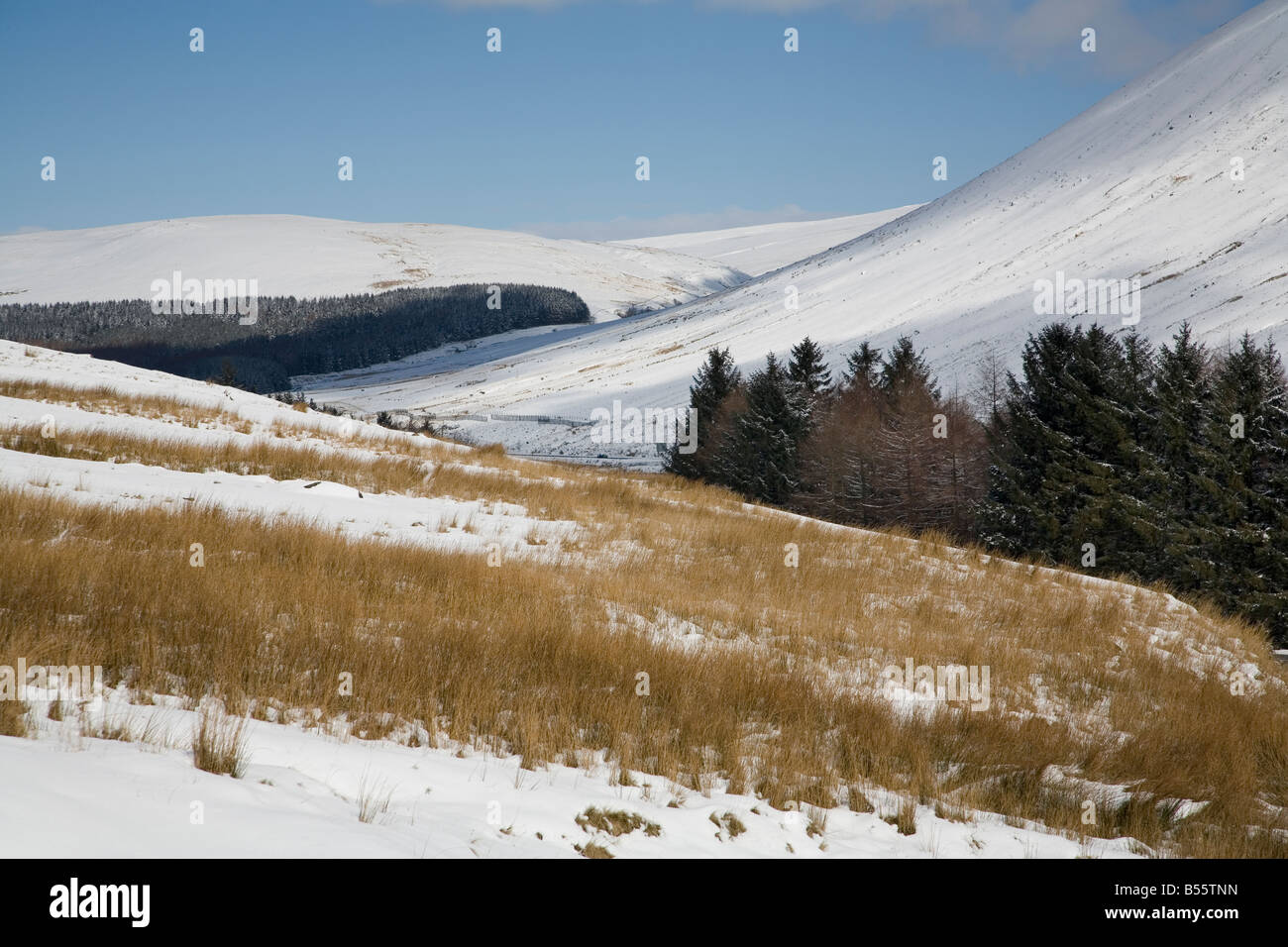 view of snow covered hills with tree lined slopes in the Brecon Beacons ...