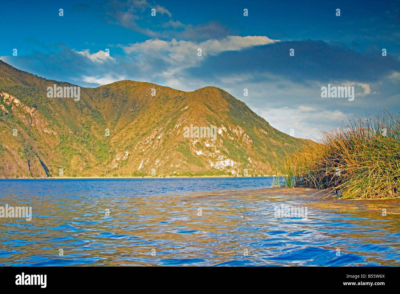 Cuicocha Laguna, a crater lake on Cotacachi volcano, Ecuador Stock ...