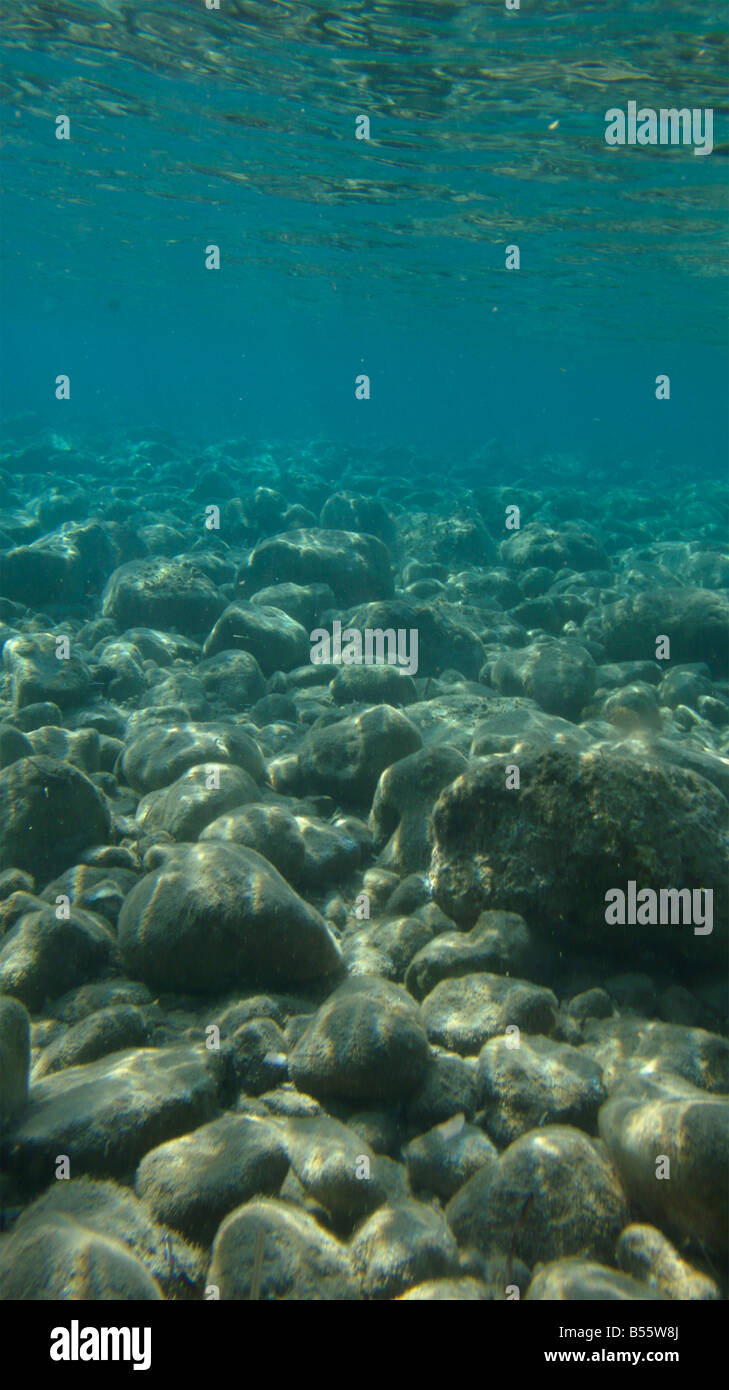 Rocky seabed hi-res stock photography and images - Alamy