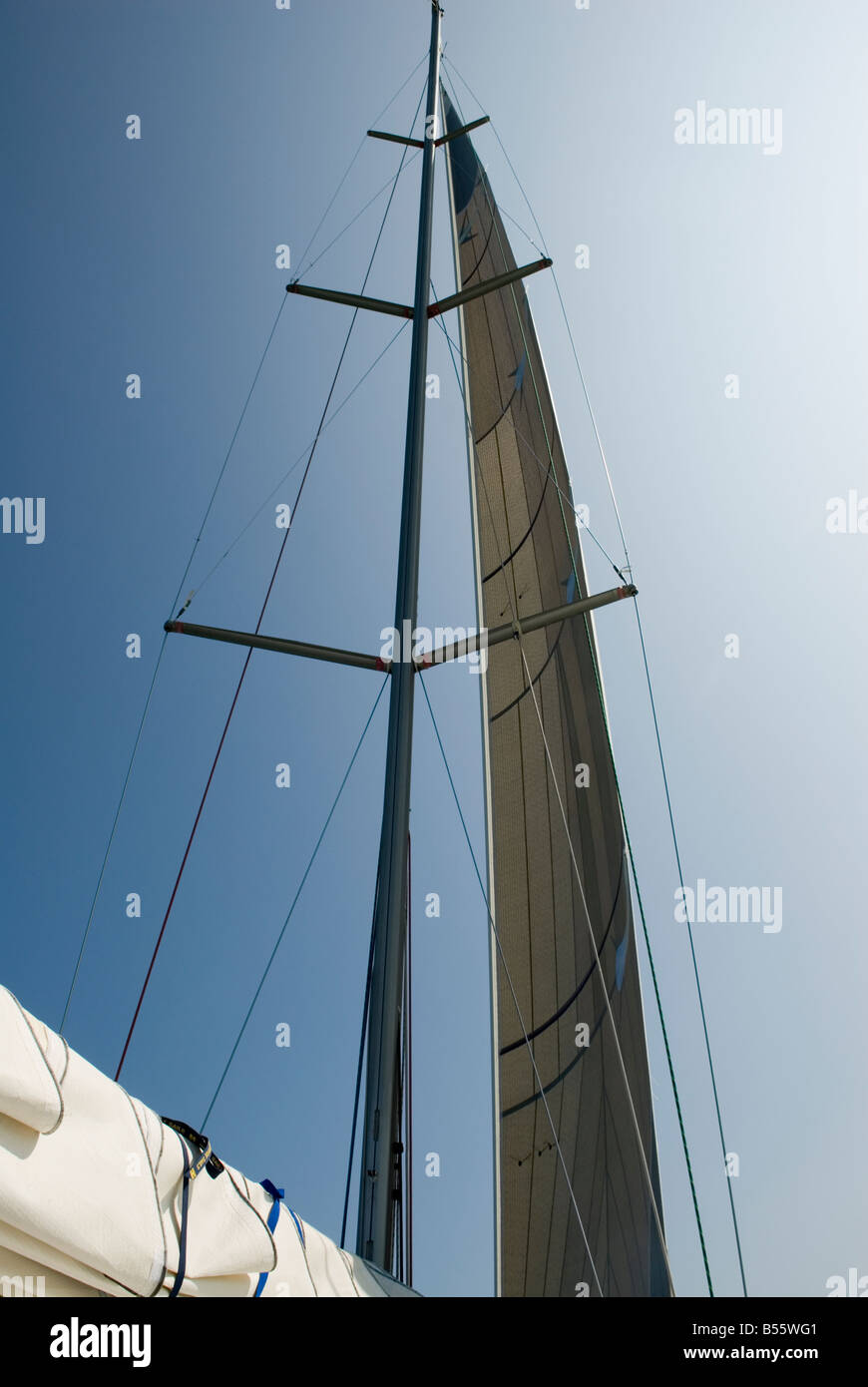 Looking up at a sail of a racing yacht Stock Photo - Alamy