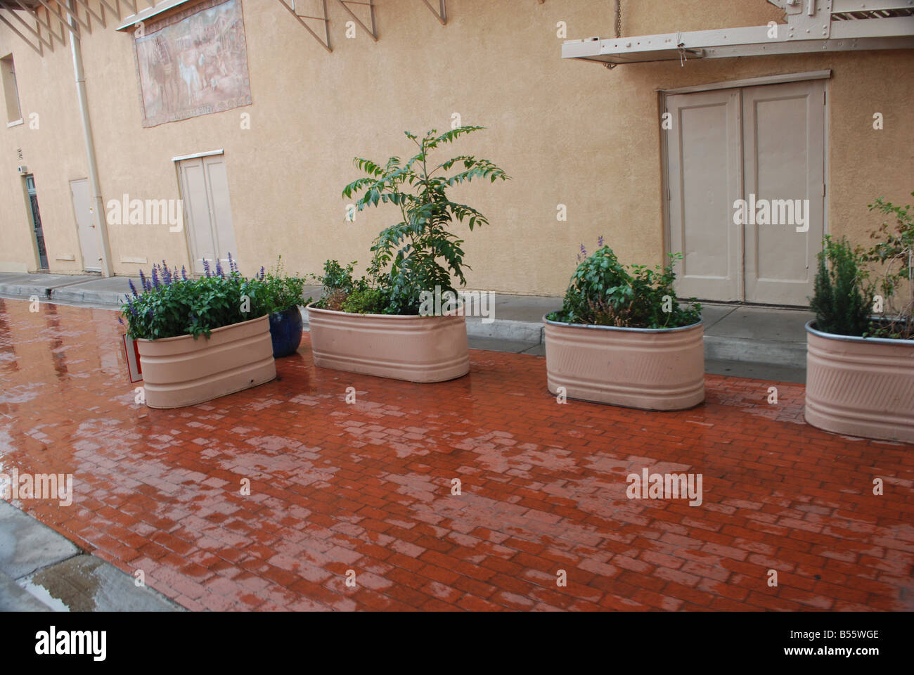 Pavement planters hi-res stock photography and images - Alamy