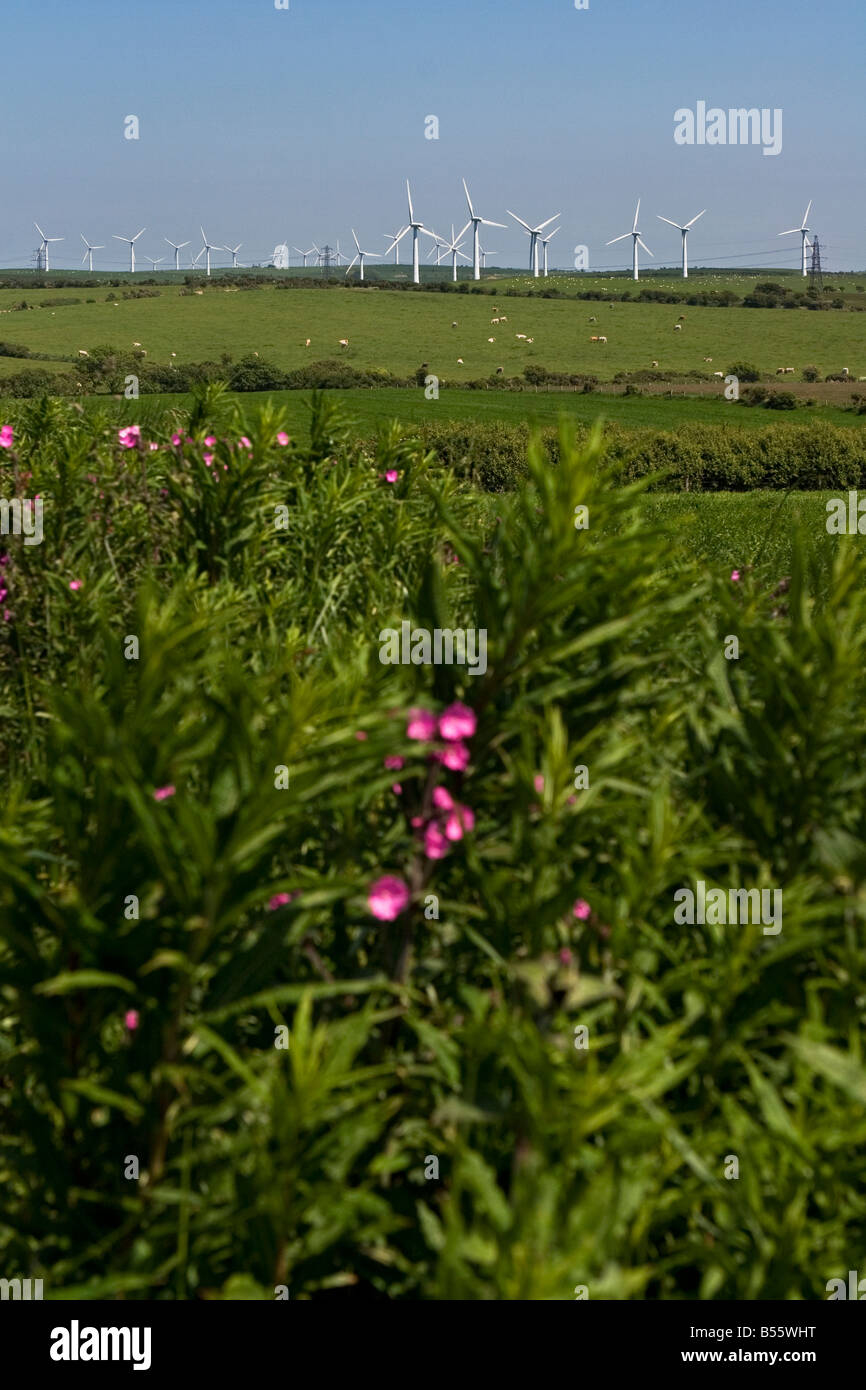 LLyn Alaw Wind Farm Anglesey producing electricity for part of North ...
