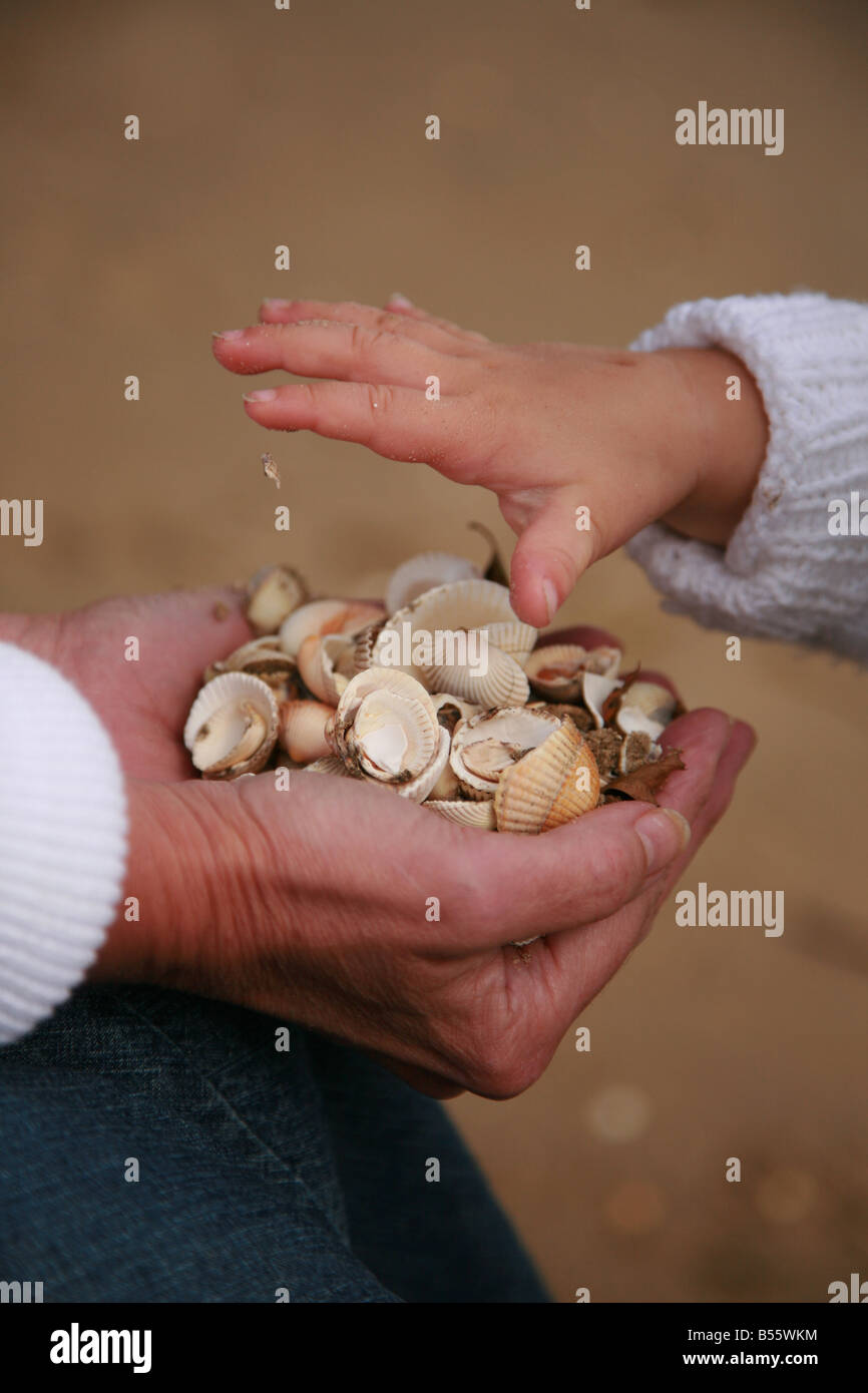 Nanna and granddaughter share happy times on beach collecting shells ...