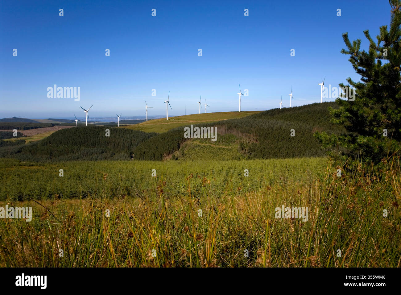 Ffynon Oer wind farm providing electricity to around 17,000 homes in ...