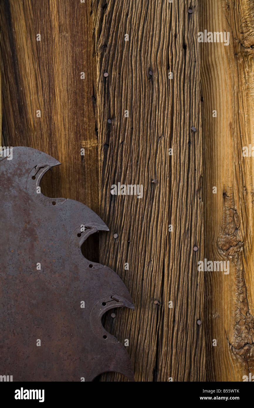 Detail of gnarled, knotted wood and section of woodsaw in Bodie Ghost ...