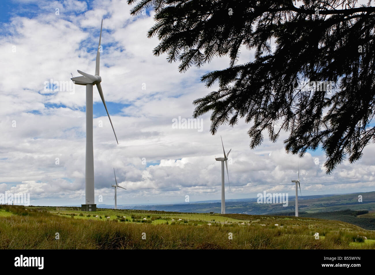 Ffynon Oer wind farm providing electricity to around 17,000 homes in ...