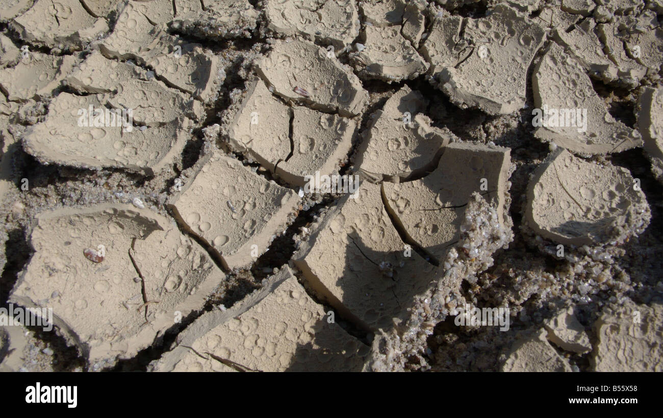 sun dried mud Stock Photo - Alamy