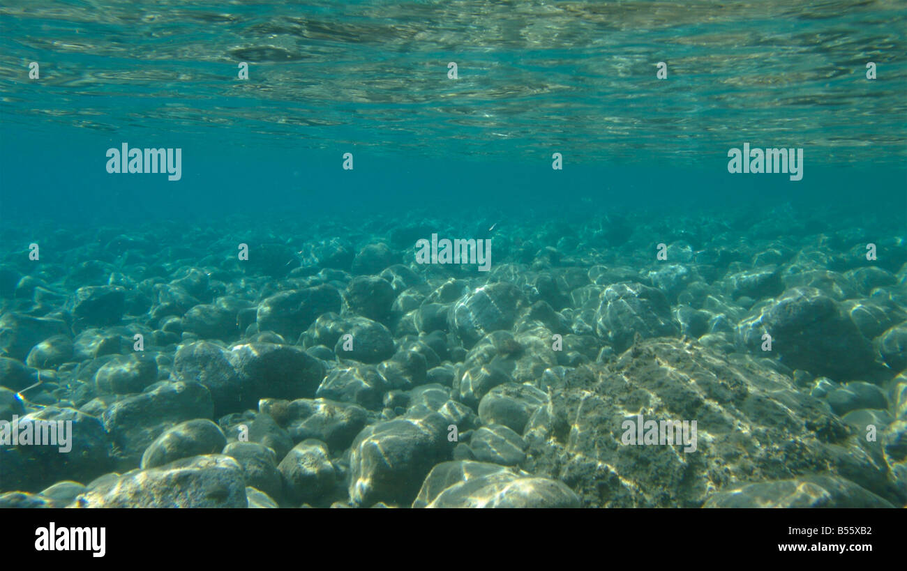 rocky seabed with clear blue water Stock Photo - Alamy