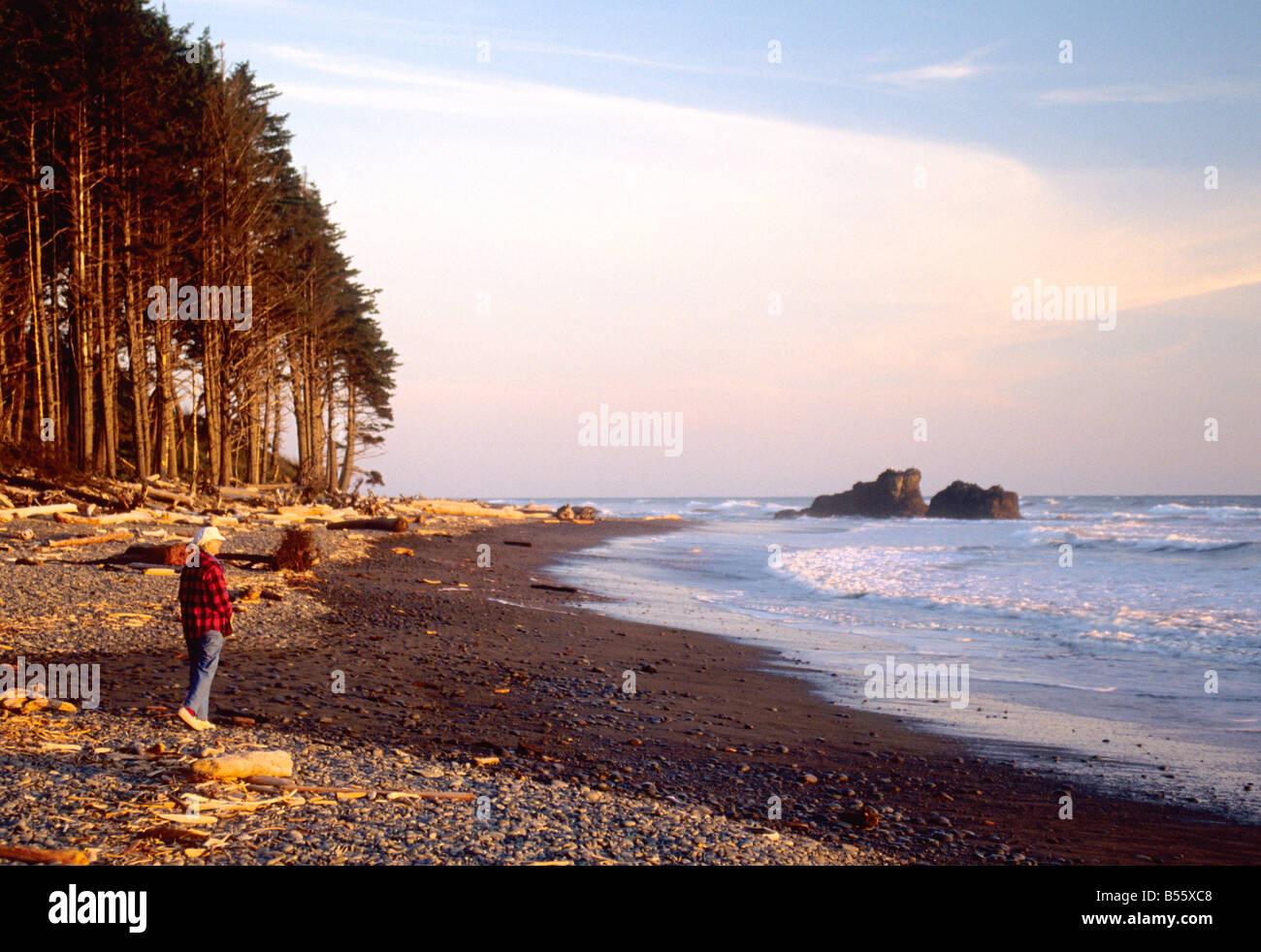 Ruby Beach, Olympic National Park, Washington State Stock Photo - Alamy