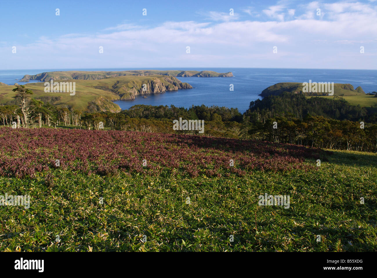 Shikotan island landscape Stock Photo - Alamy