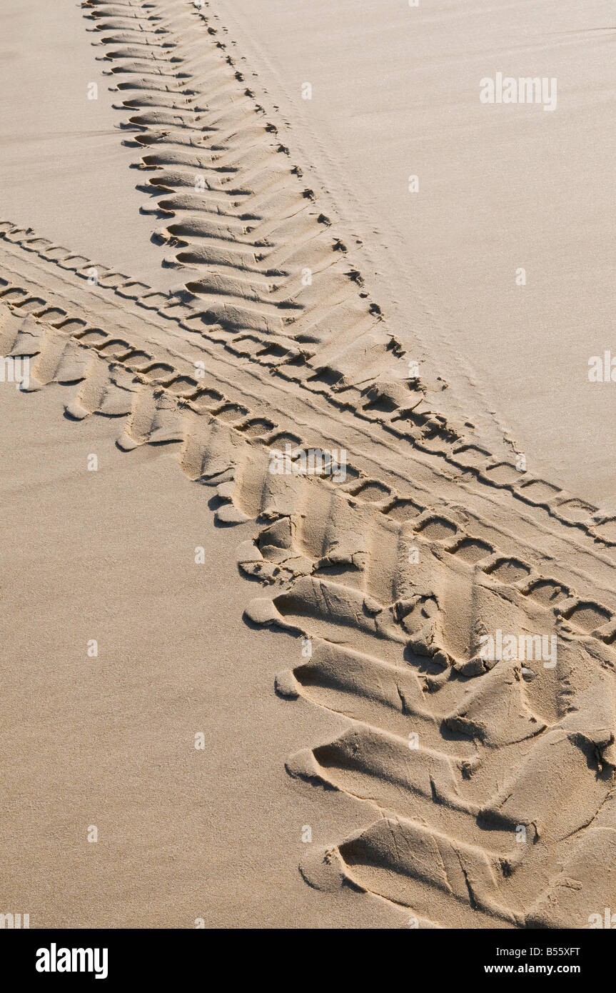 truck tyre tracks on sandy beach Stock Photo - Alamy