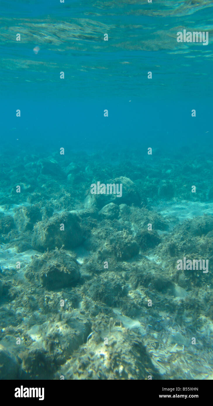 rocky seabed with clear blue water Stock Photo - Alamy