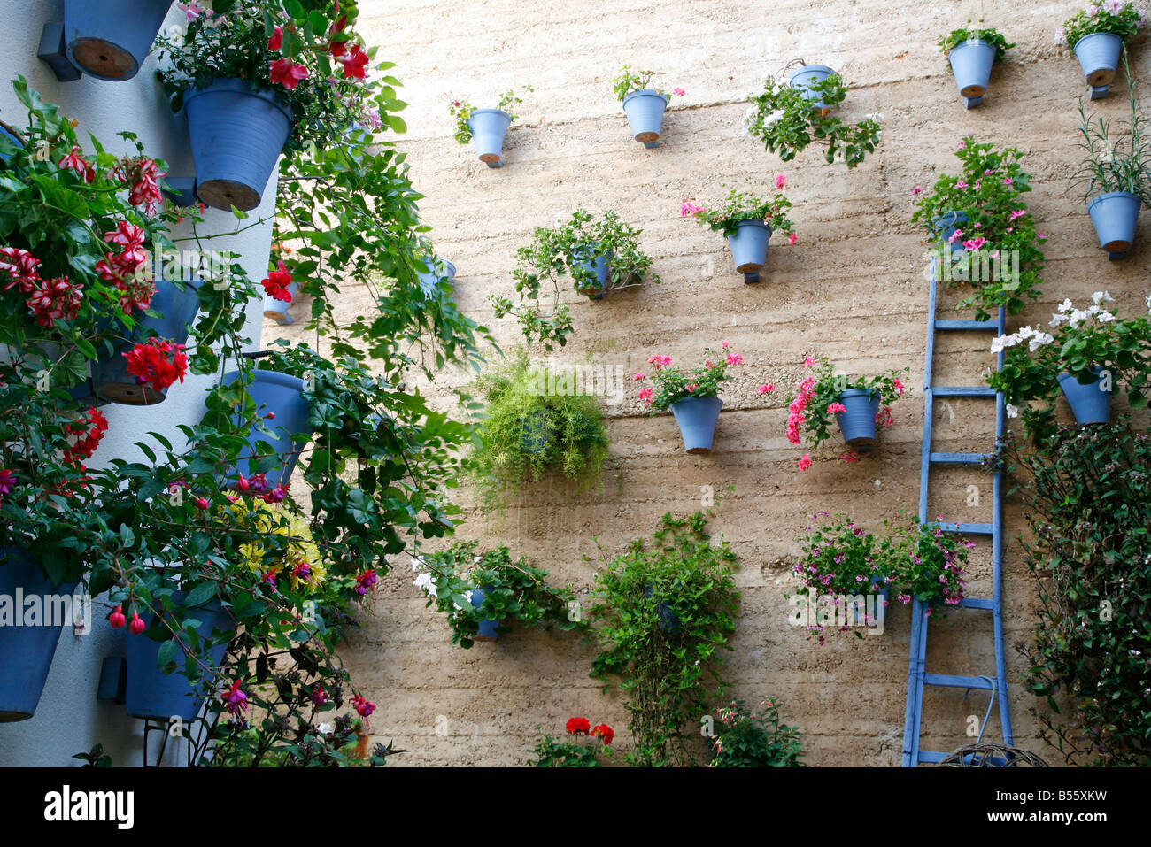 Wall of bright blue pots in a Spanish garden Stock Photo - Alamy