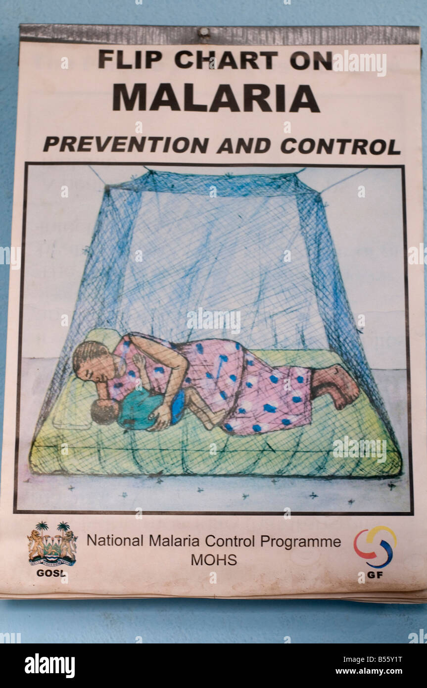 Series of posters used for teaching about malaria,the top one showing a ...