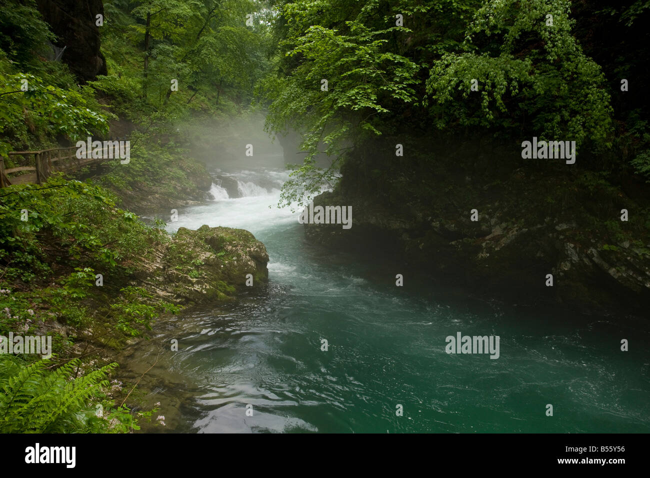 The Radovna river flowing through the Vintgar Gorge near Bled Triglav ...