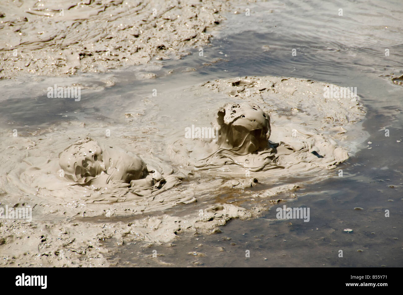 The Mud Pool at the Wai-O-Tapu thermal area, near Rotorua, North Island ...