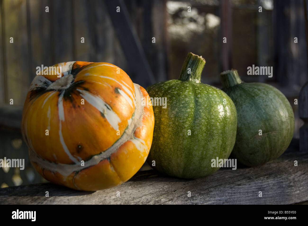 Collection of unusual autumn pumpkins Stock Photo - Alamy