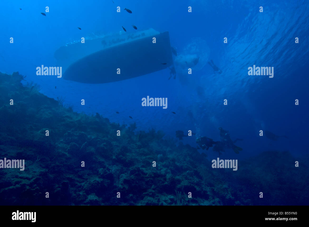Divers descending from a dive boat in Little Cayman Stock Photo - Alamy