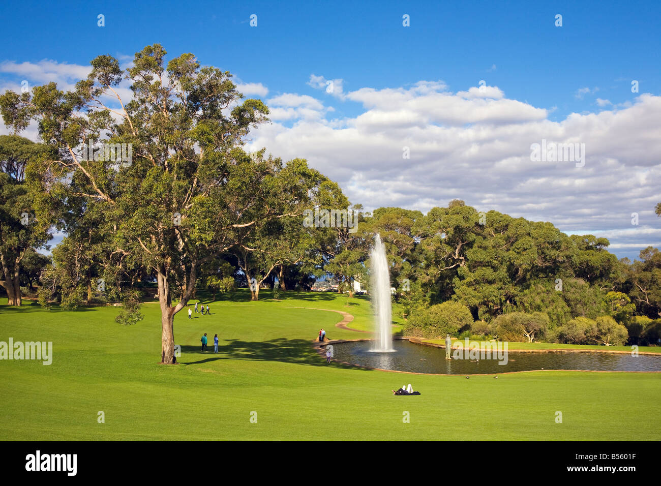 Perth kings park hi-res stock photography and images - Alamy