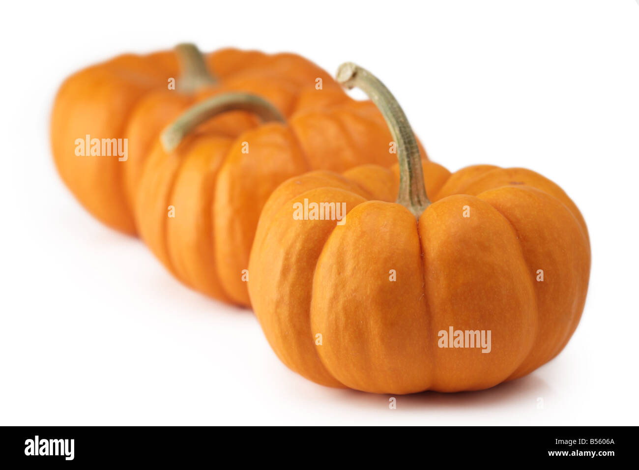 Pumpkin and thanksgiving Cut Out Stock Images & Pictures - Alamy