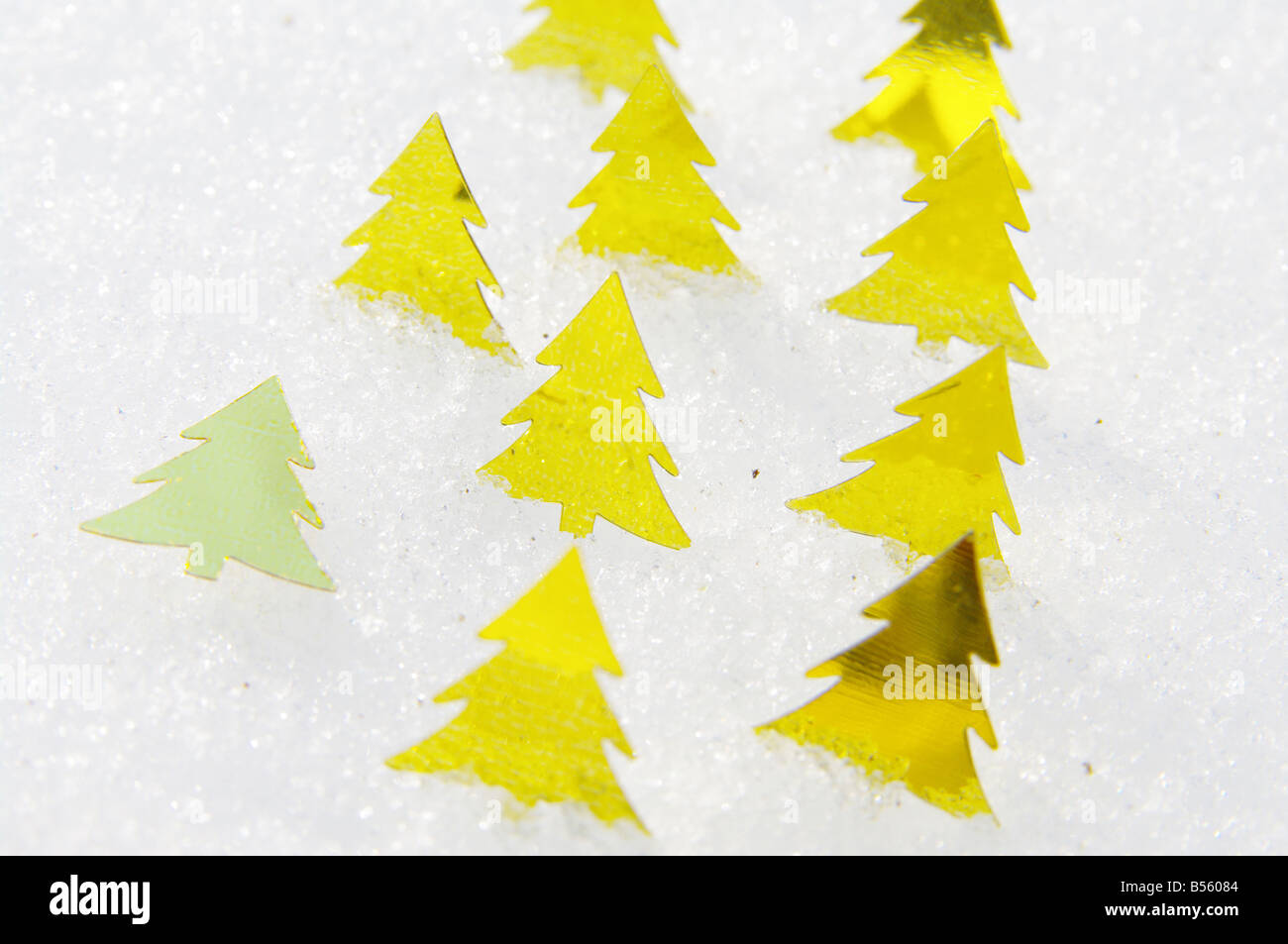 golden trees on a real snowy icy surface Stock Photo - Alamy