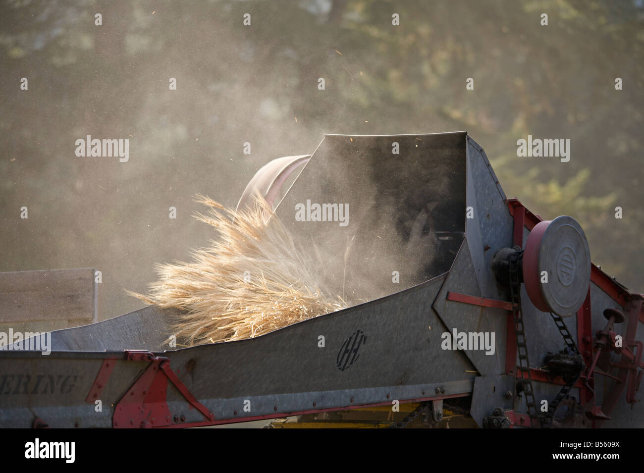 Threshing wheat hi-res stock photography and images - Alamy