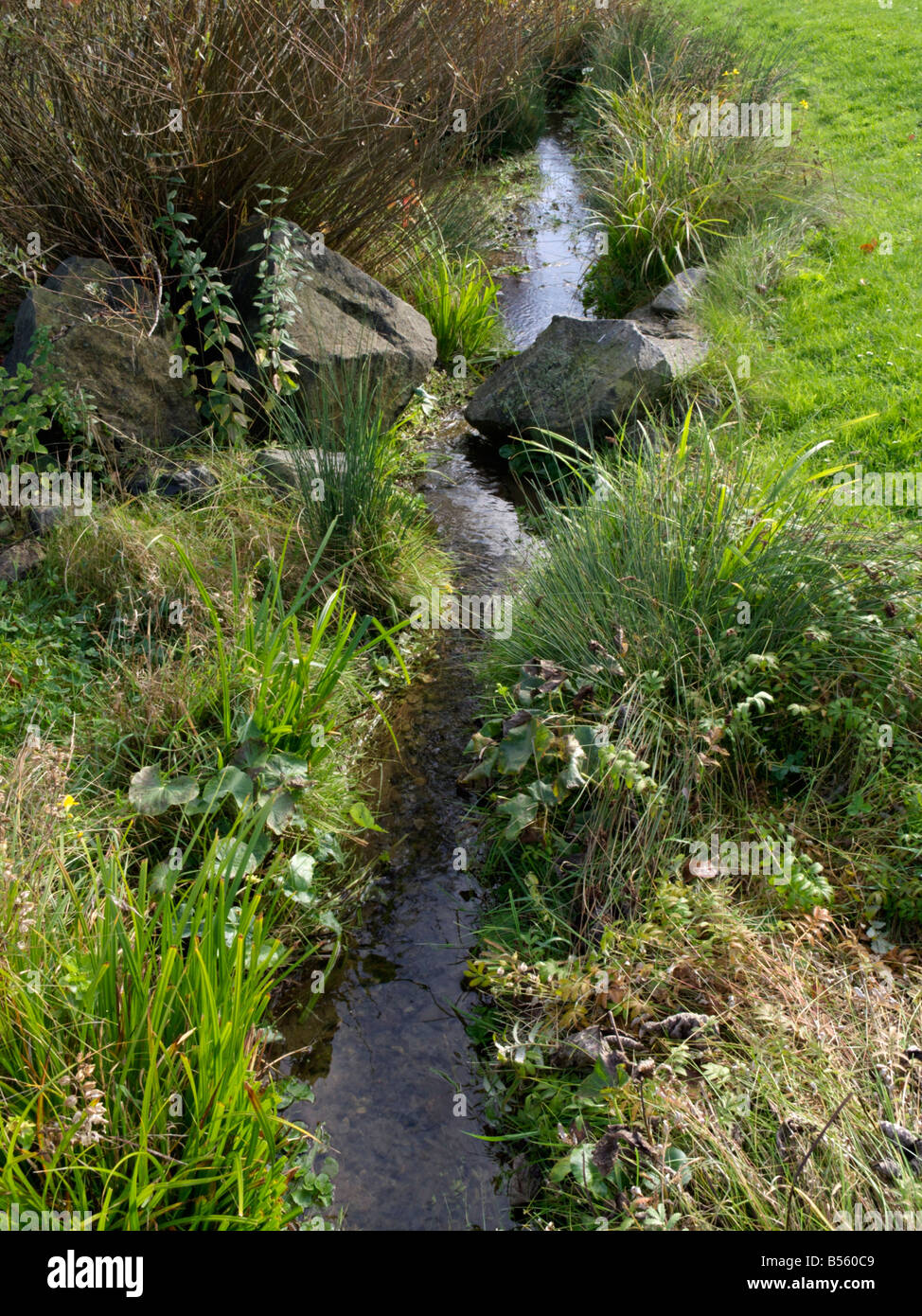 Near-natural brook in a garden Stock Photo - Alamy