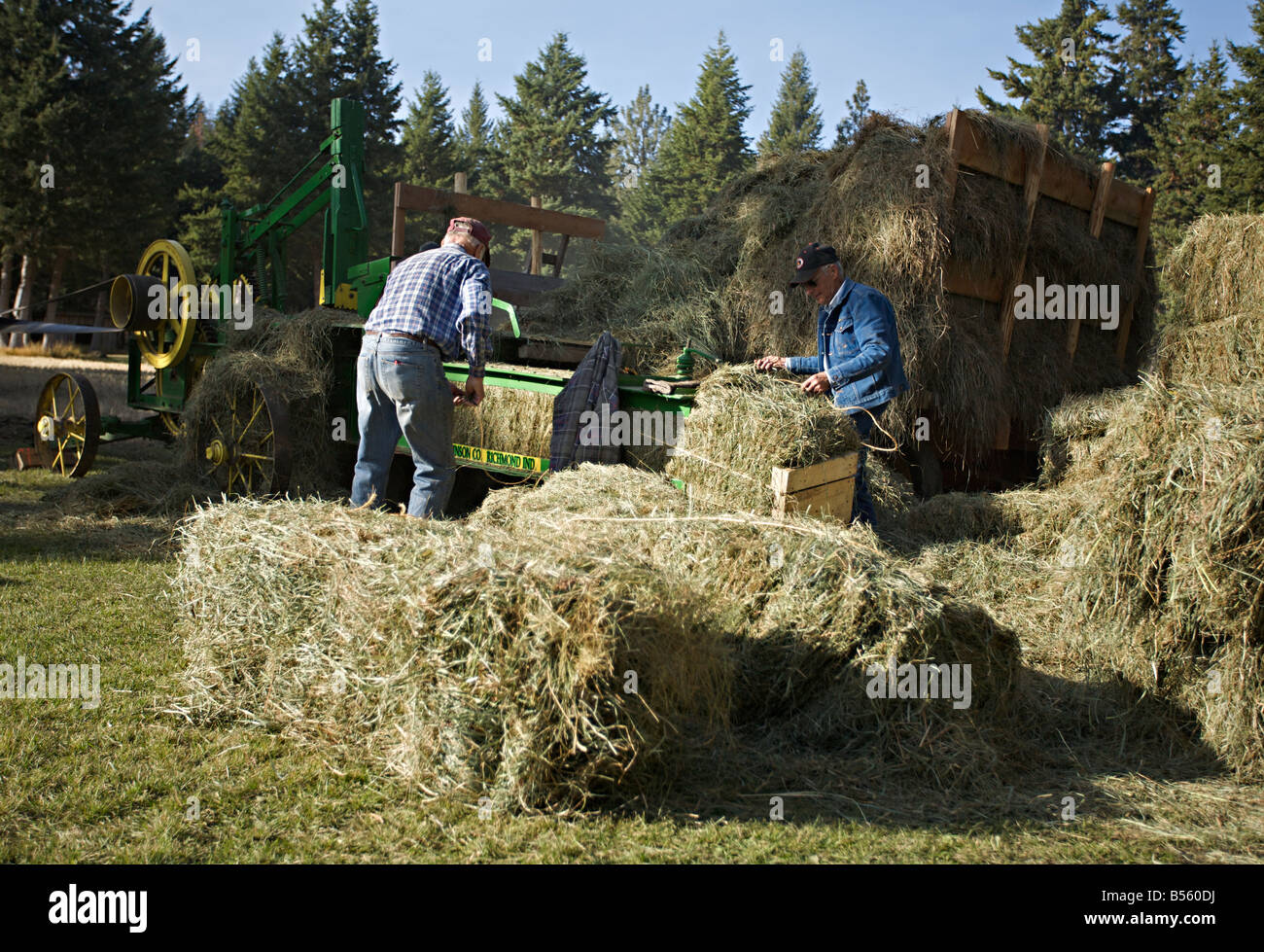 Hay bailing demonstration with a belt driven hay press during steam ...