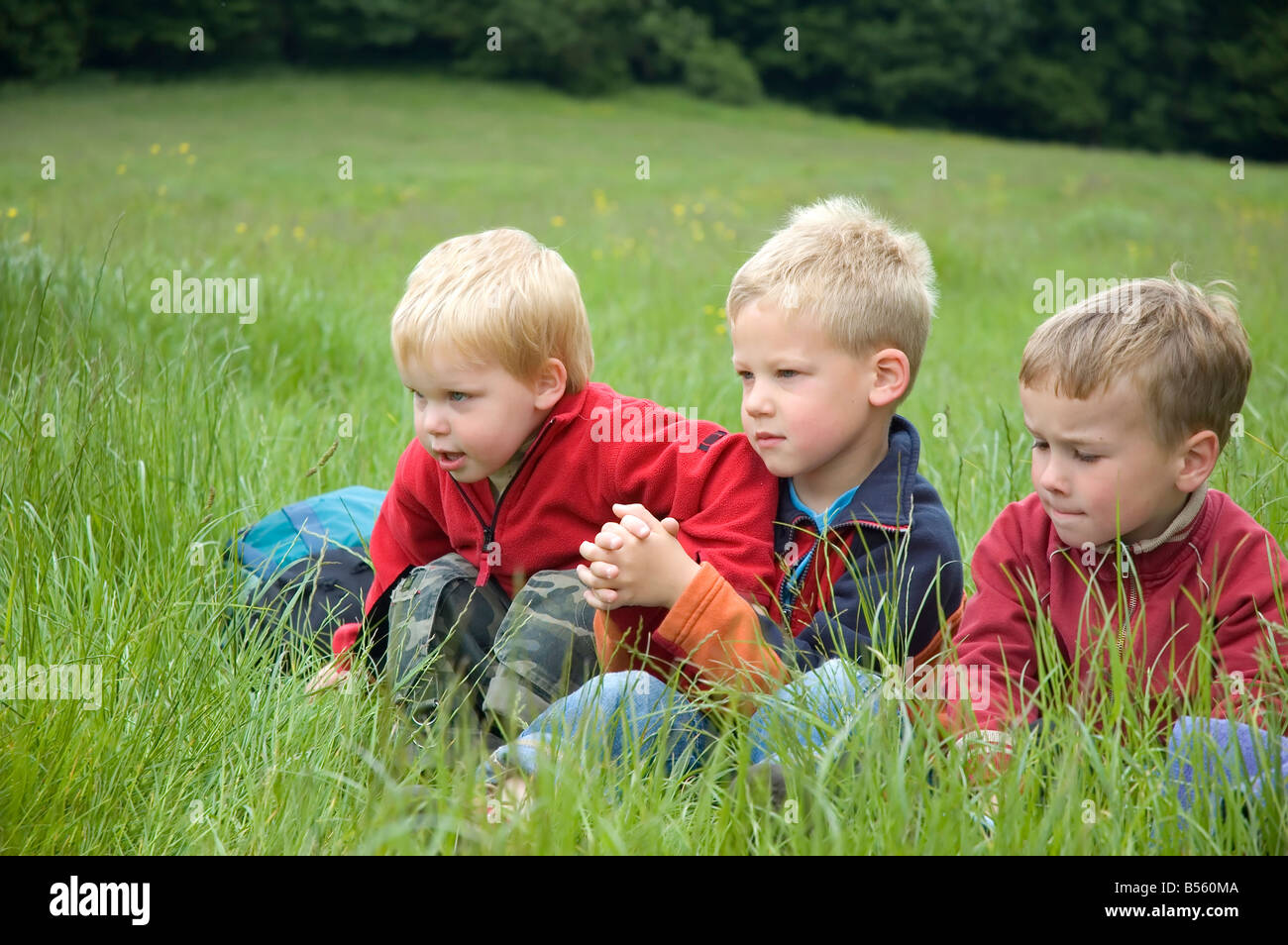 Three boyfriends sitting in the grass looking at something Stock Photo ...