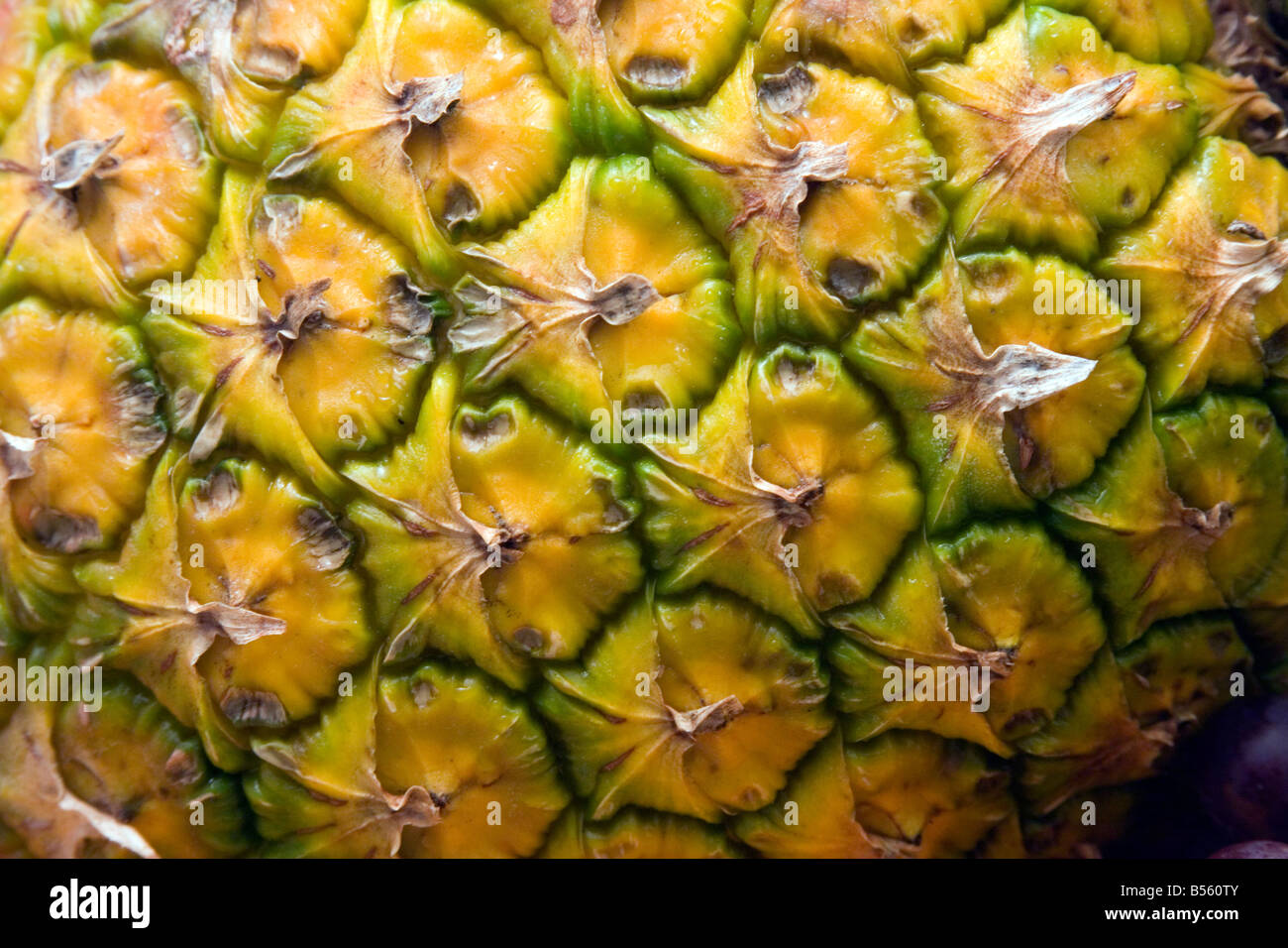 Pineapple core hi-res stock photography and images - Alamy