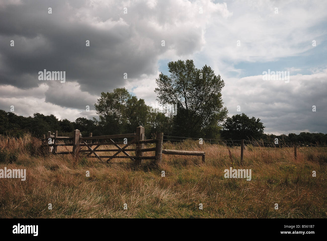 Dunton hi-res stock photography and images - Alamy