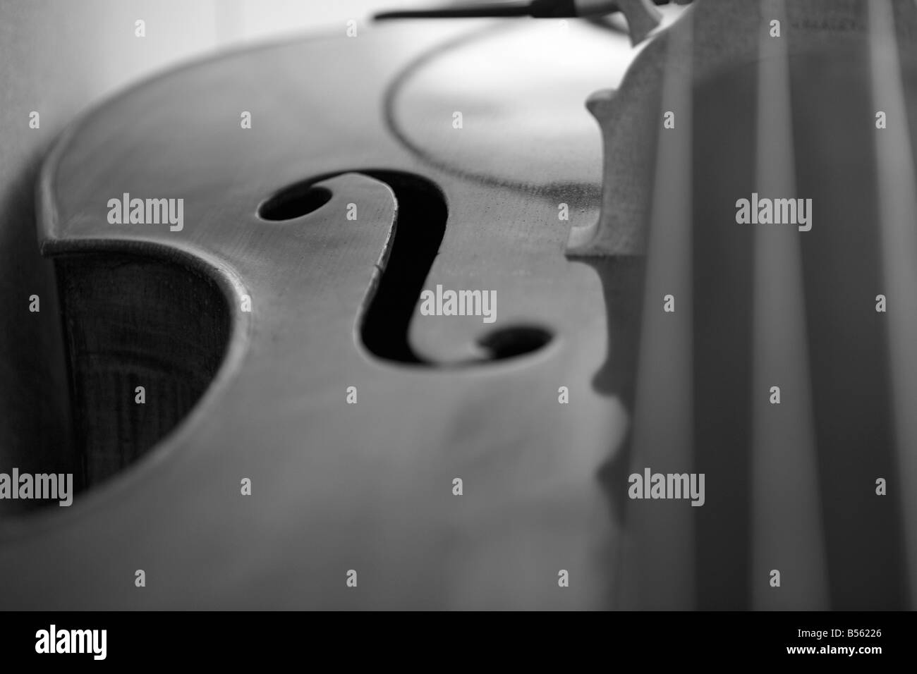 Cello Black and White Stock Photos & Images - Alamy