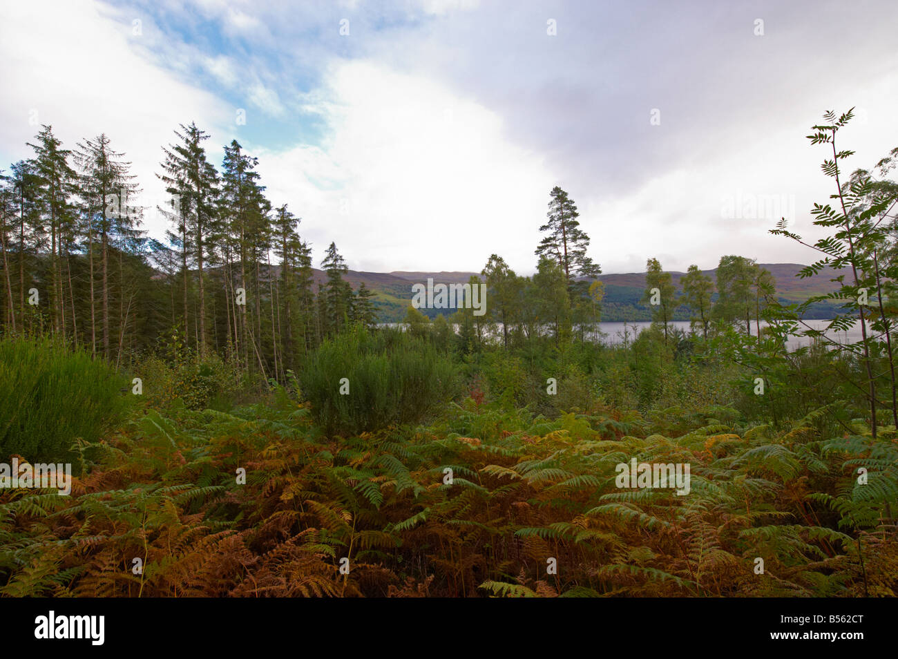 Loch Ness Scotland UK Stock Photo - Alamy