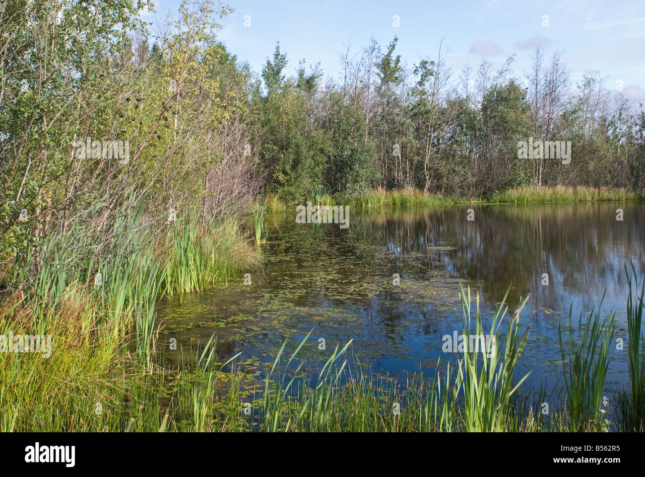 Shalow water hi-res stock photography and images - Alamy