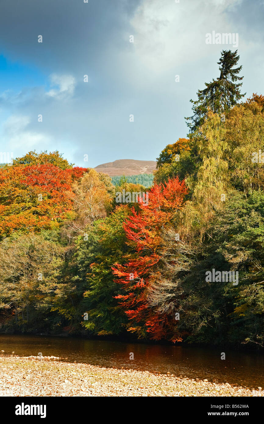 Blue sky skies fall autumn perthshire hi-res stock photography and ...