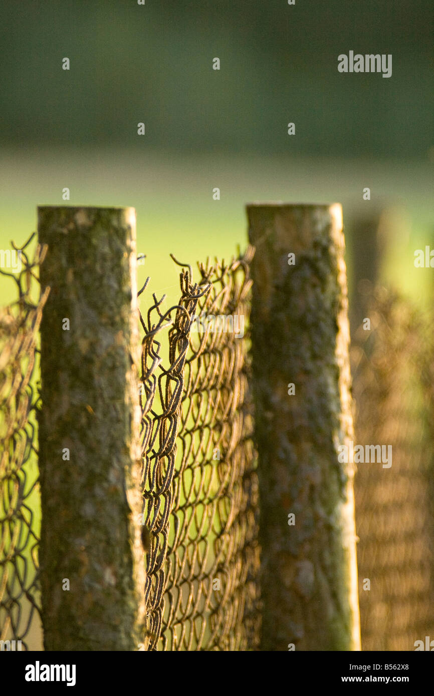 Old fens hi-res stock photography and images - Alamy