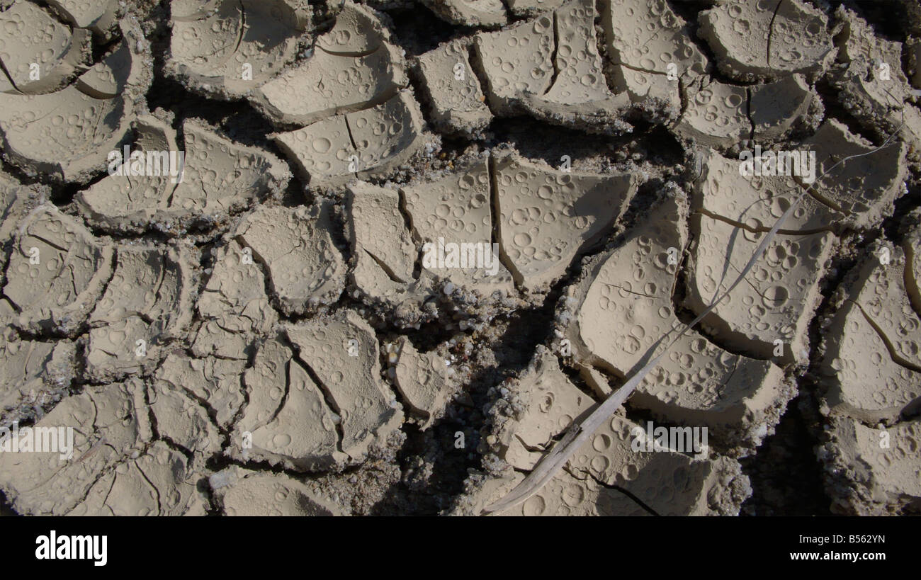 sun dried mud Stock Photo - Alamy