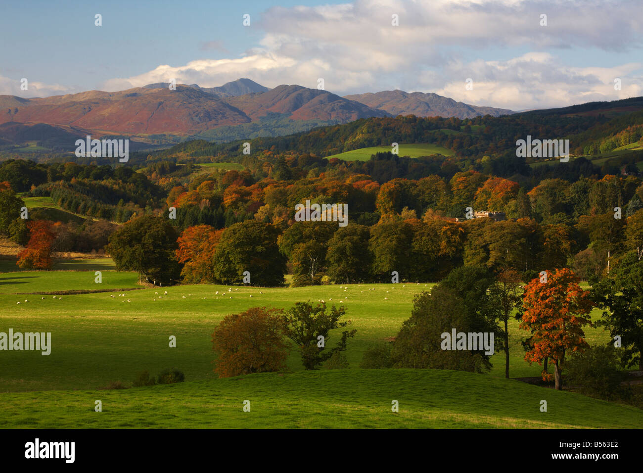 Monzie hi-res stock photography and images - Alamy