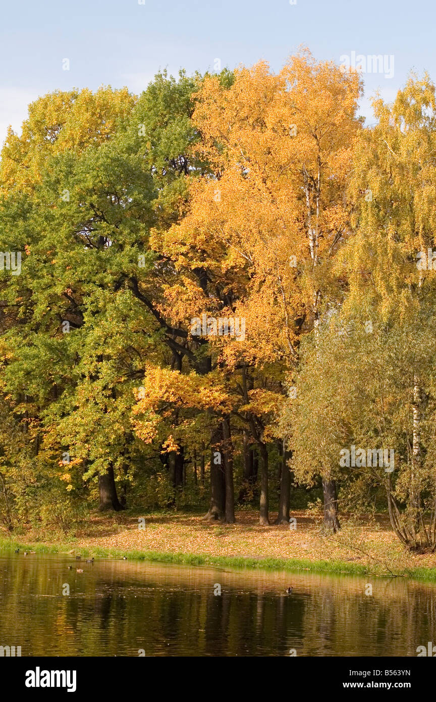 colors of autumn in the Moscow park Stock Photo - Alamy