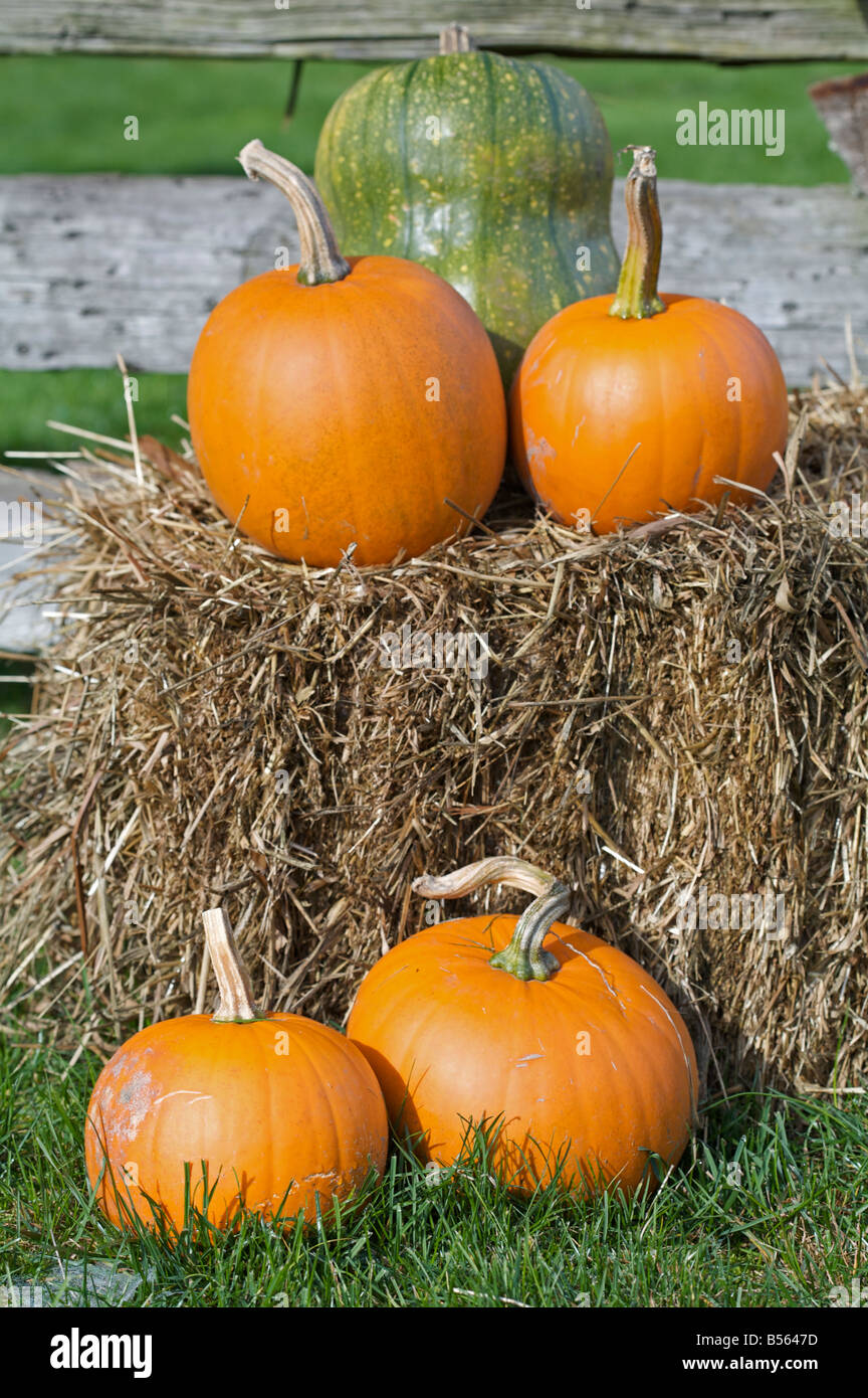 Agricultural products display hi-res stock photography and images - Alamy