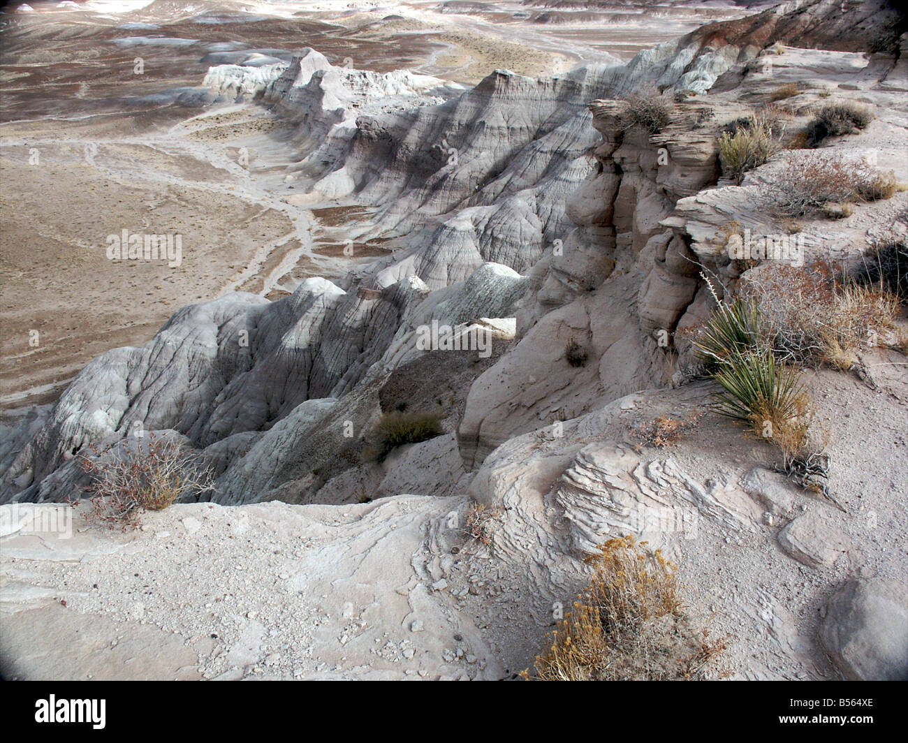 Beautiful grey and brown rocks in the Petrified Forest National Park ...